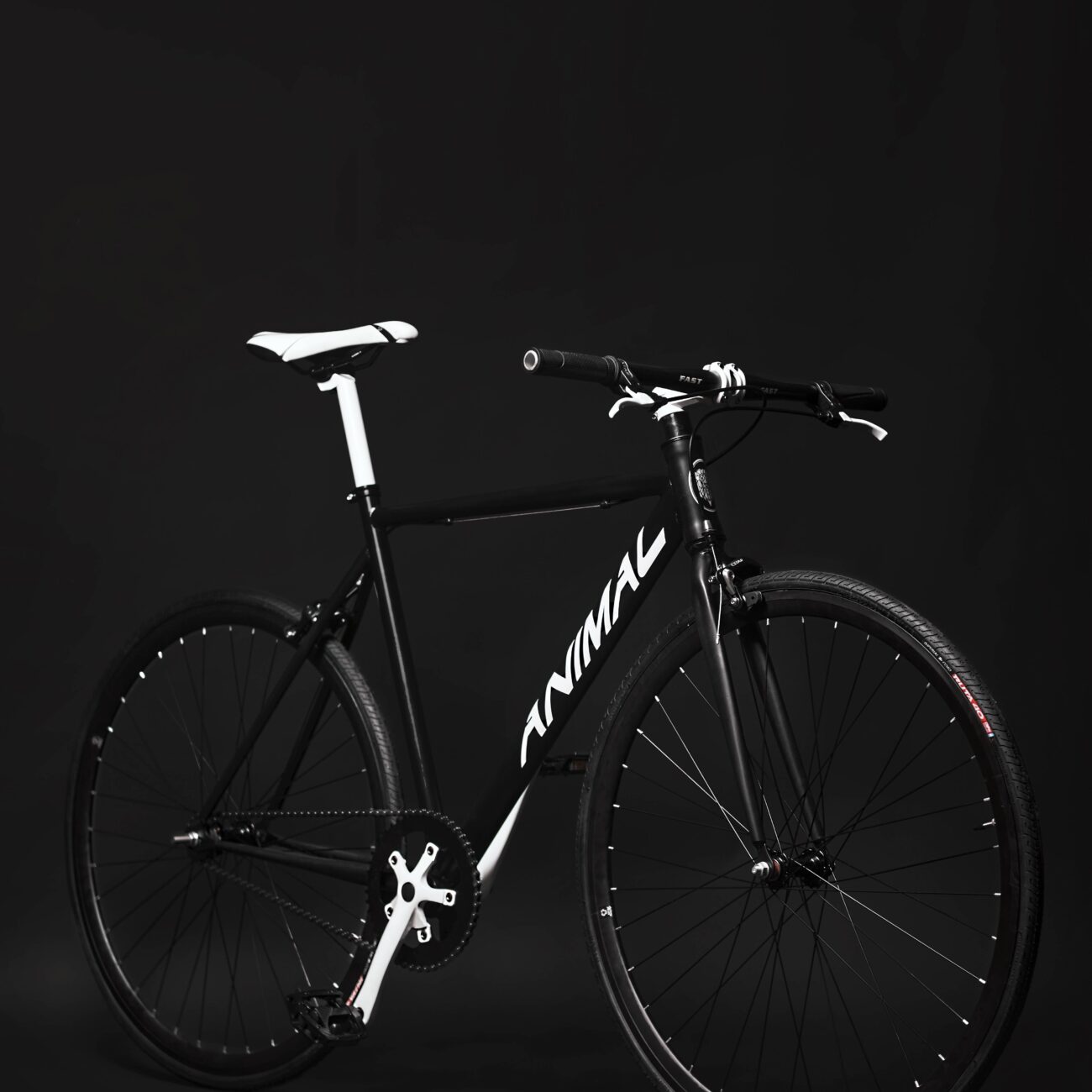 WILD PANTHER – SINGLE SPEED – Animal Cycles